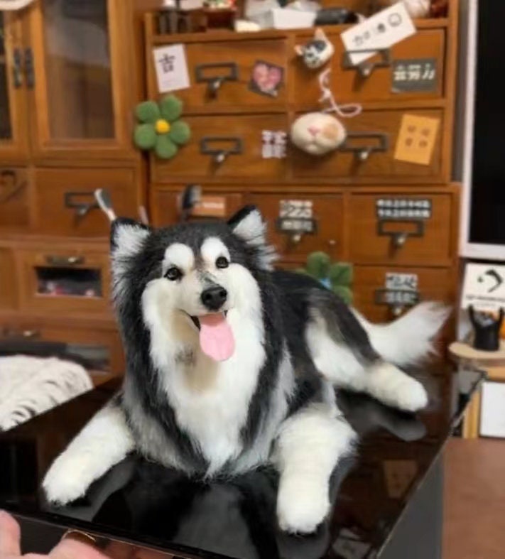 Dog Replica,alaskan Malamute,pet Portraits,pet Memorial,wool Pet ...