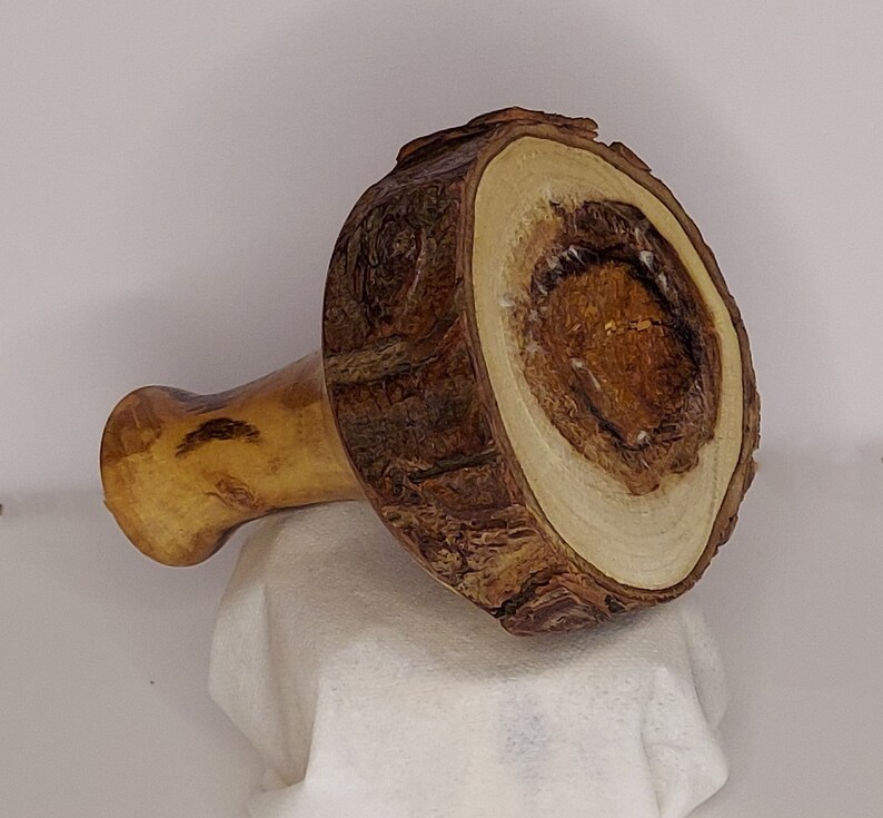 Maple Twig Pot - Etsy