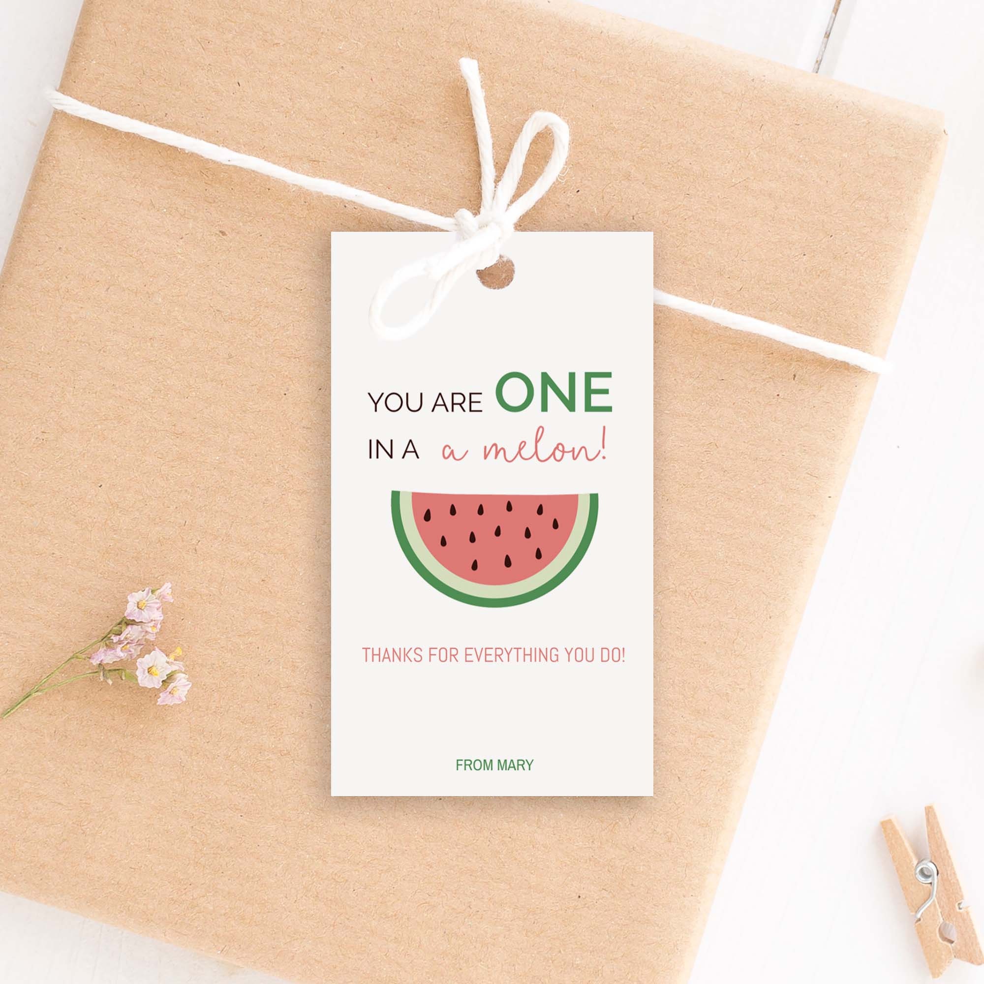 Editable Watermelon Gift Tag: Teacher & Staff Appreciation (digital ...