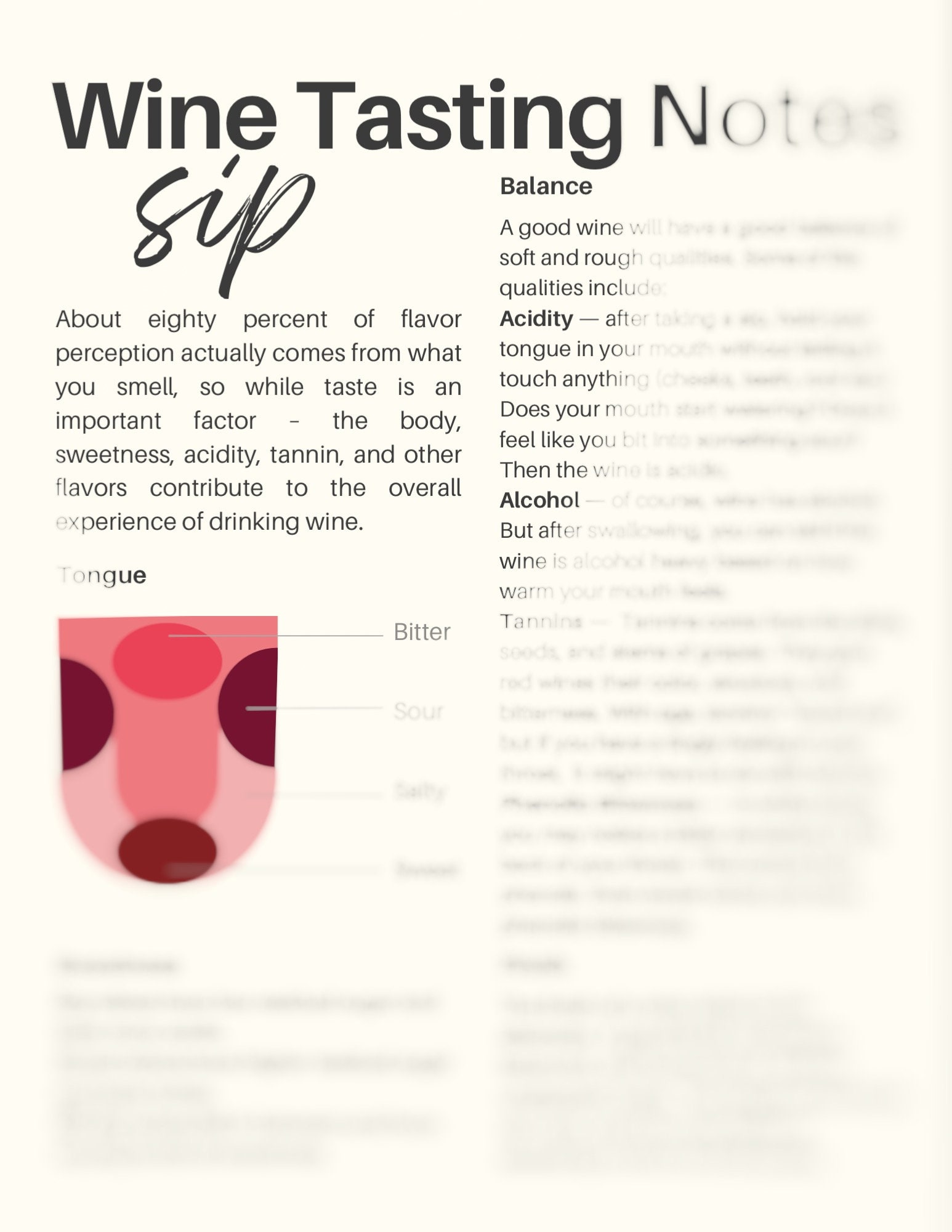 Wine Tasting Sheet and Lesson Packet - Etsy