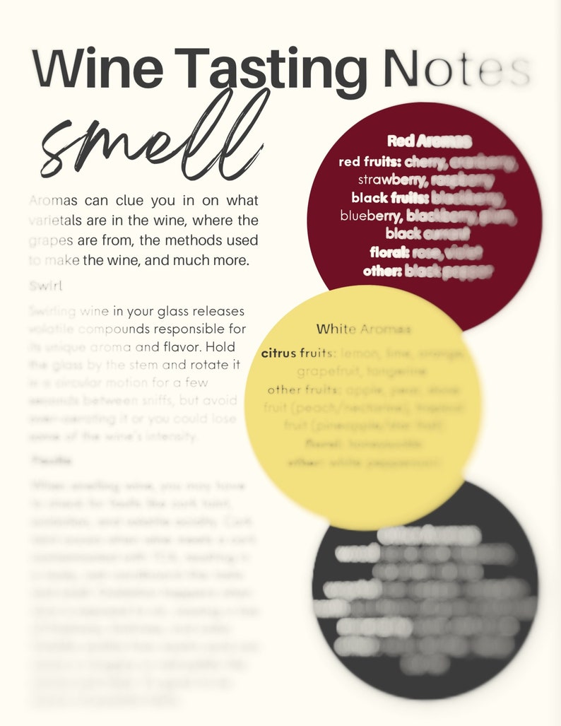 Wine Tasting Sheet and Lesson Packet - Etsy