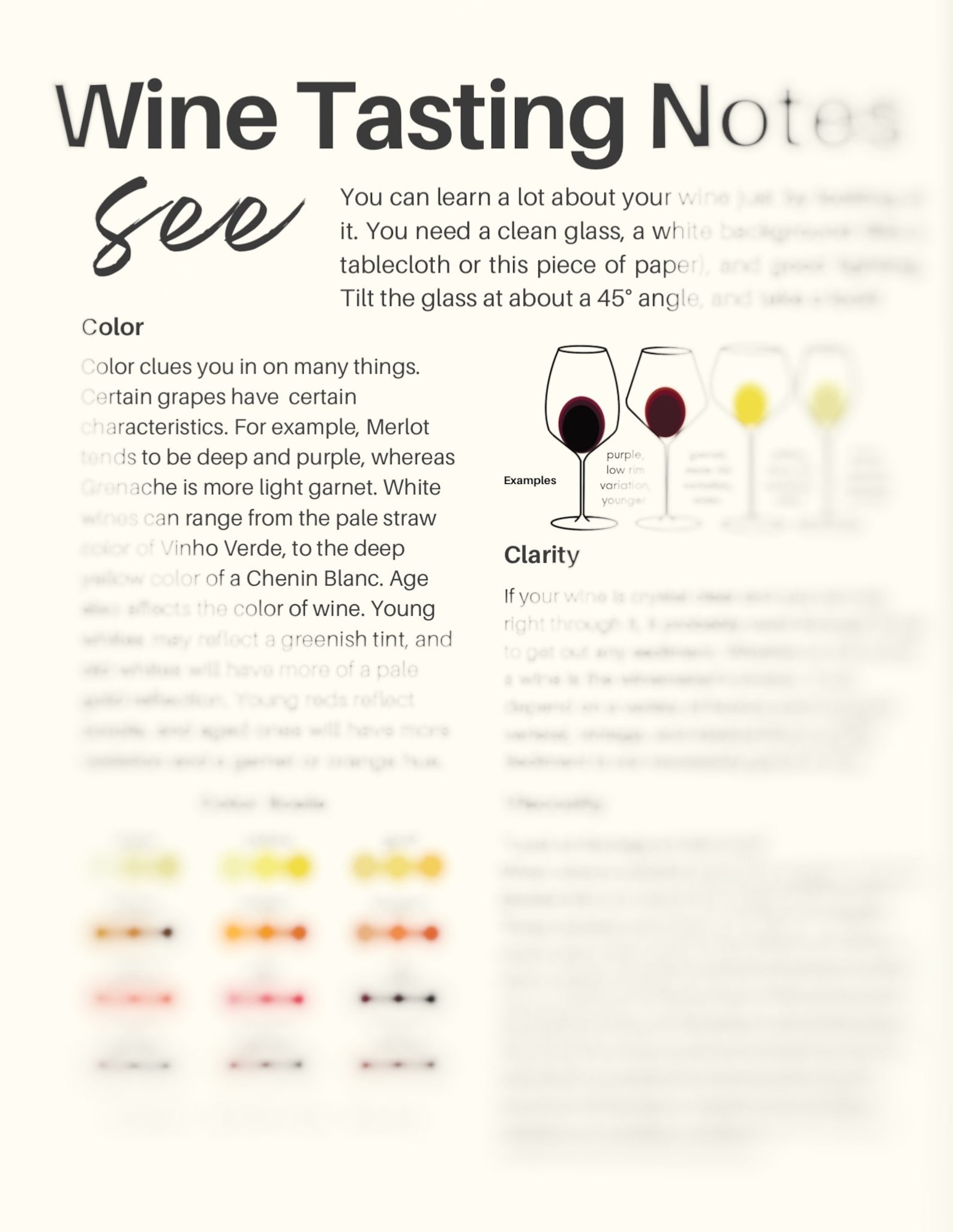 Wine Tasting Sheet and Lesson Packet - Etsy