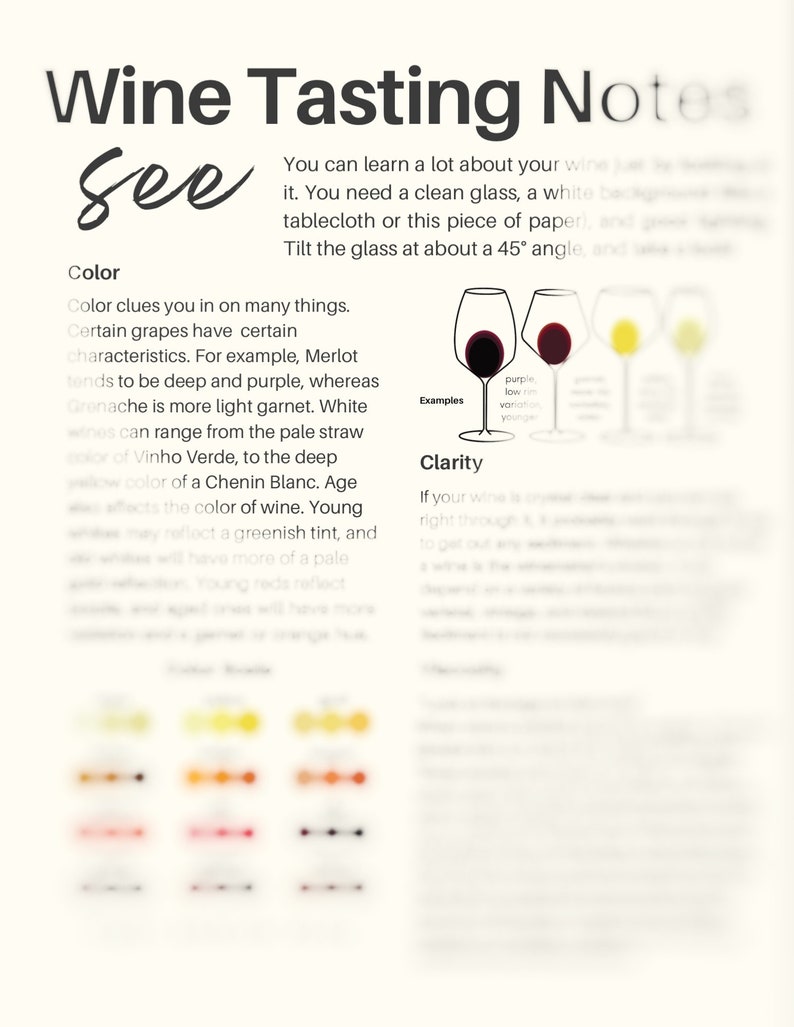 Wine Tasting Sheet and Lesson Packet - Etsy