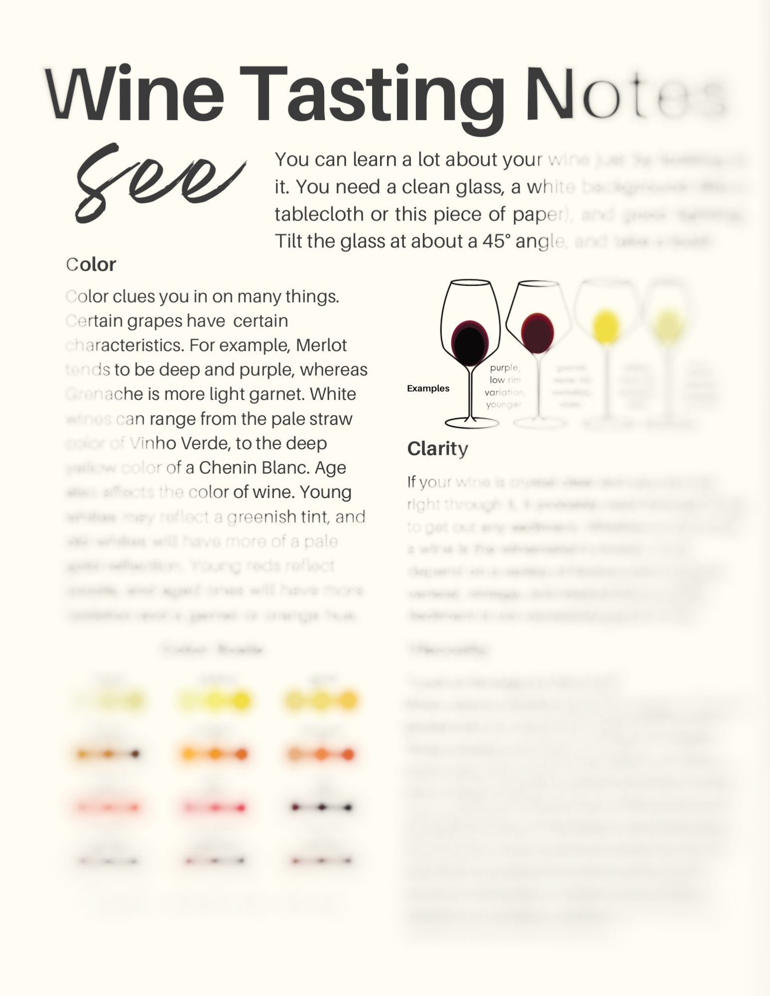 Wine Tasting Sheet and Lesson Packet - Etsy