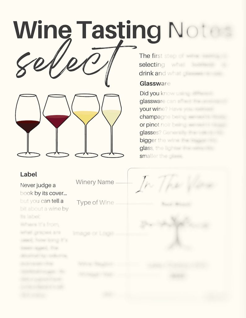 Wine Tasting Sheet and Lesson Packet - Etsy