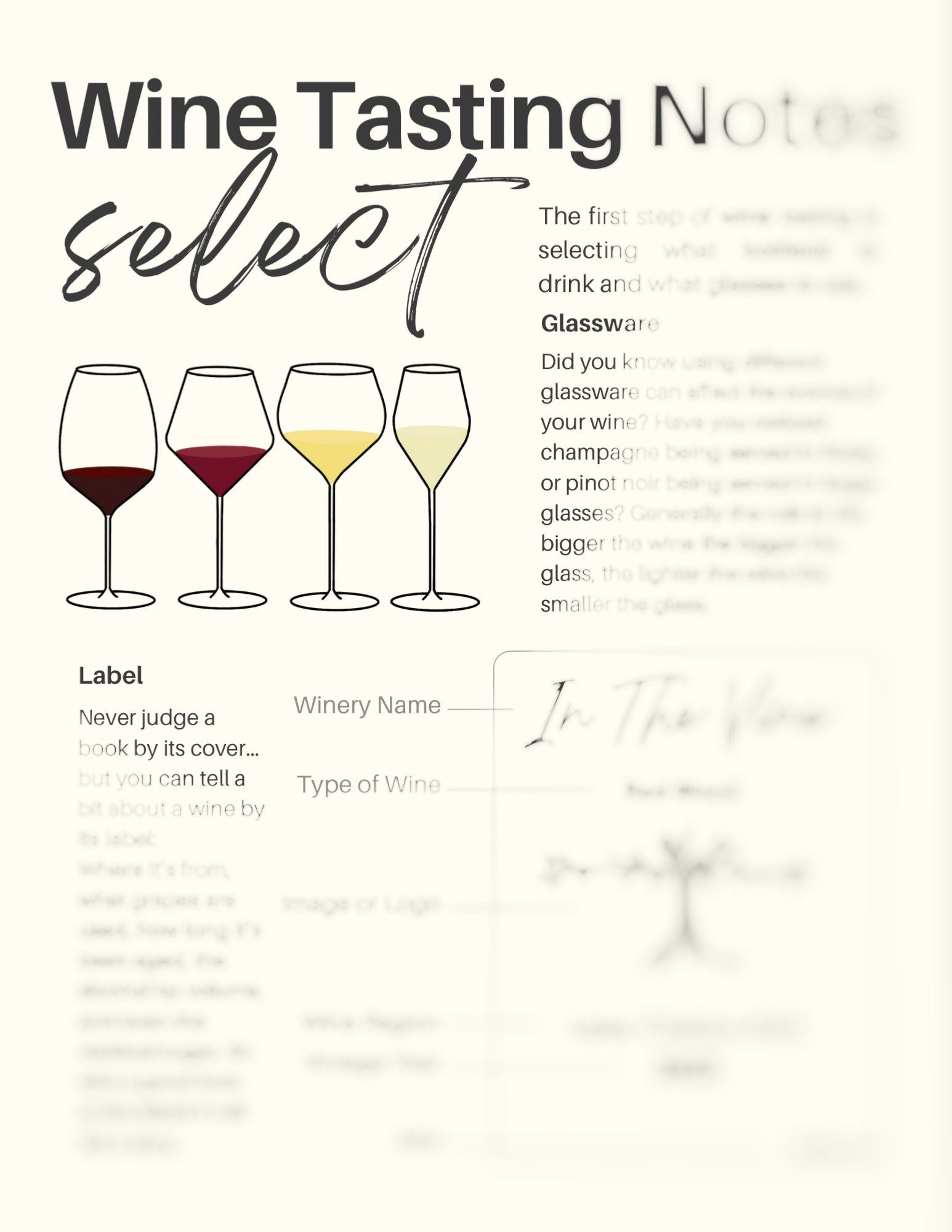 Wine Tasting Sheet and Lesson Packet - Etsy
