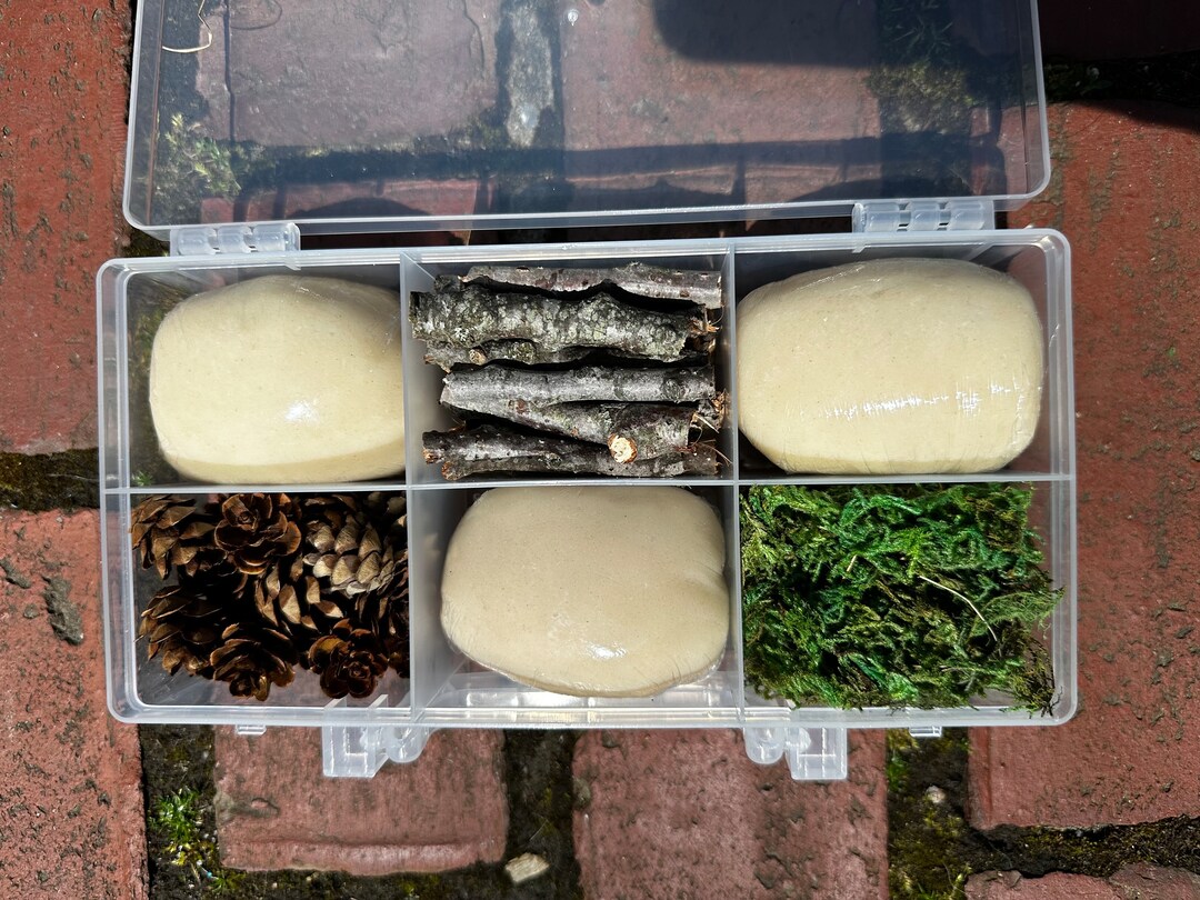 Nature Playdough Sensory Box - Etsy