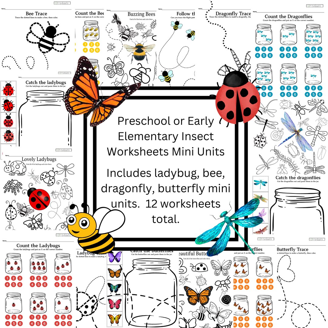 Preschool Insect Unit Study Bug Busy Book Preschool Line Tracing ...