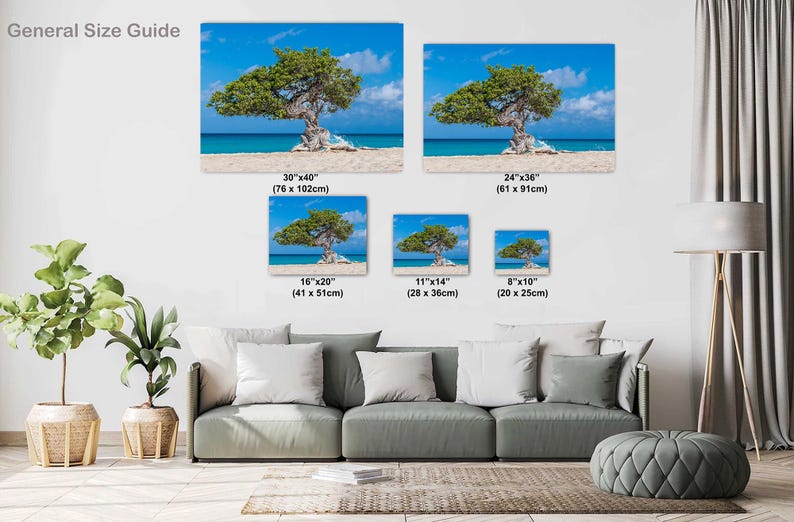 Famous Fofoti Tree of Eagle Beach Aruba - Wall Art Print - Etsy