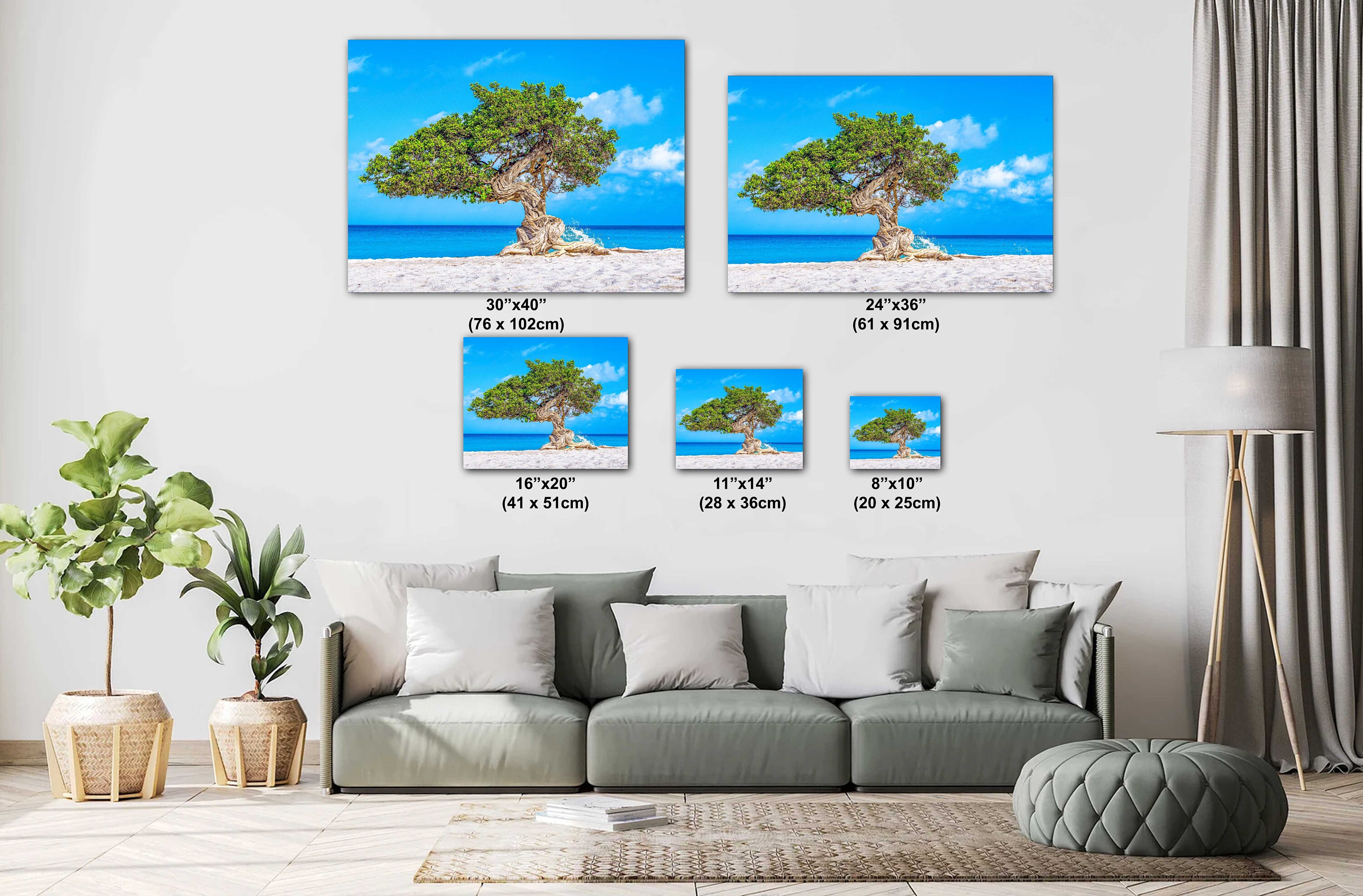 Famous Fofoti Tree of Eagle Beach Aruba - Wall Art Print - Etsy