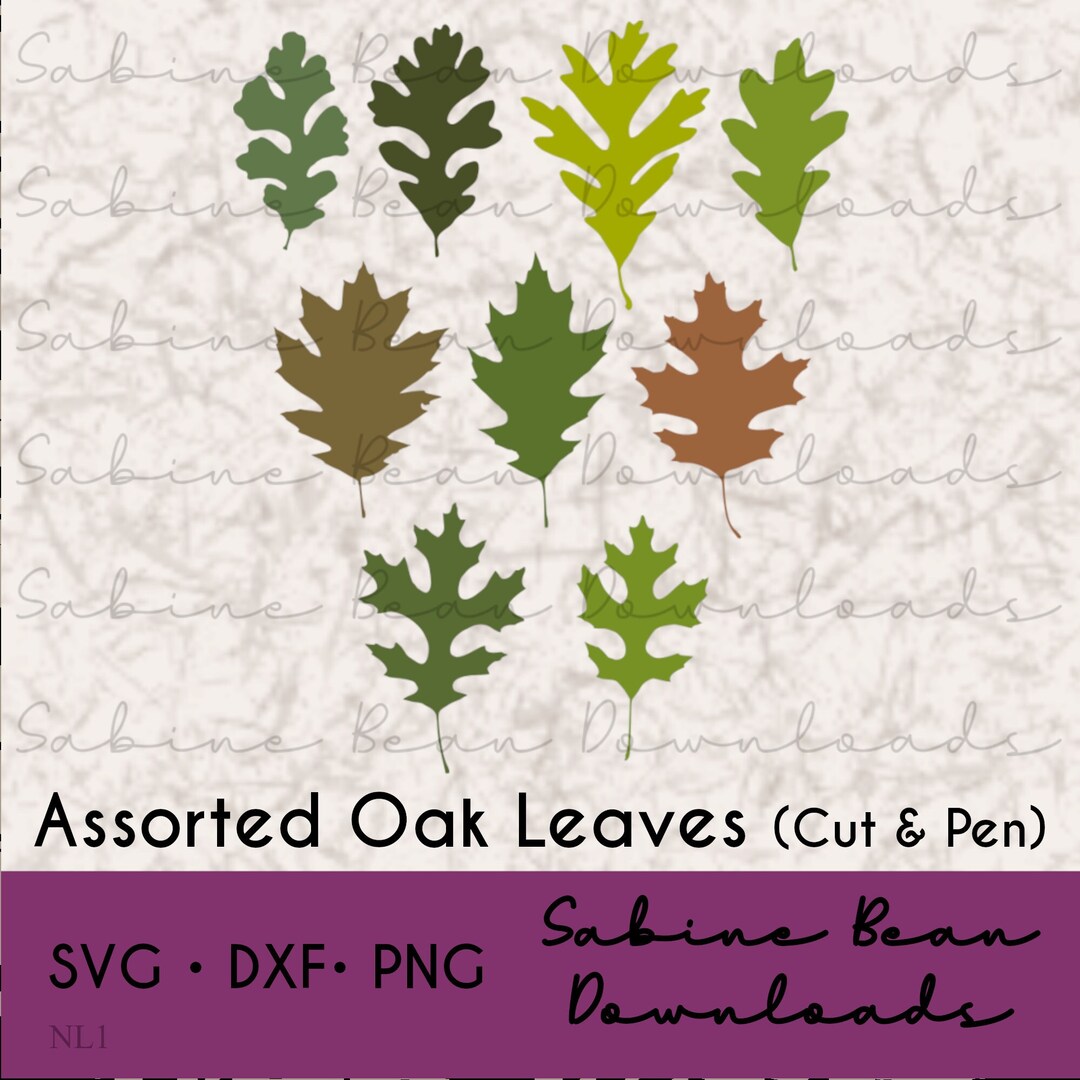 Oak Leaves SVG Bundle, PNG, DXF, Fall Leaf Png, Northern Red Oak, Pin ...