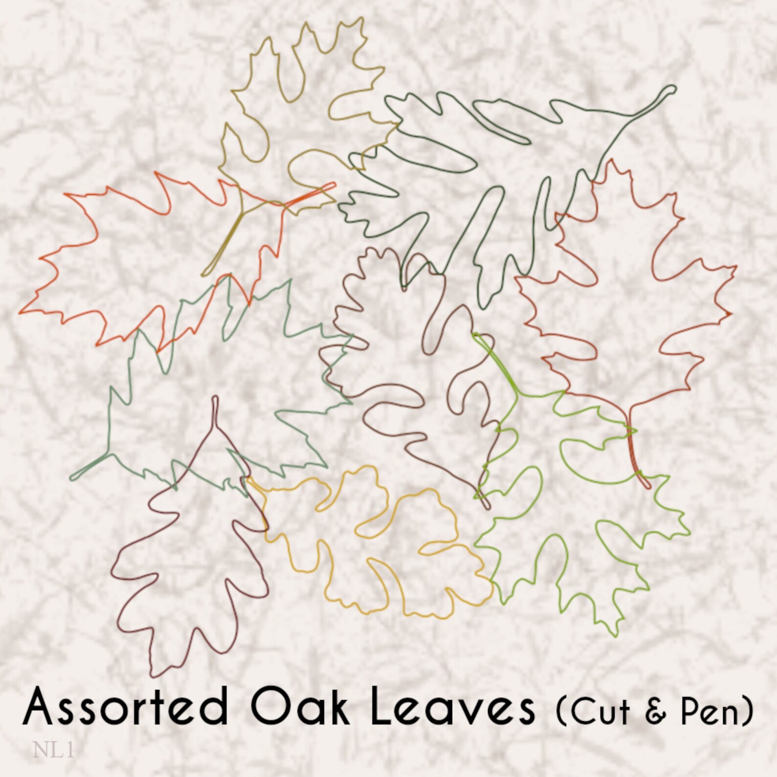 Oak Leaves SVG Bundle, PNG, DXF, Fall Leaf Png, Northern Red Oak, Pin ...