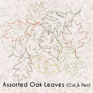 Oak Leaves SVG Bundle, PNG, DXF, Fall Leaf Png, Northern Red Oak, Pin ...