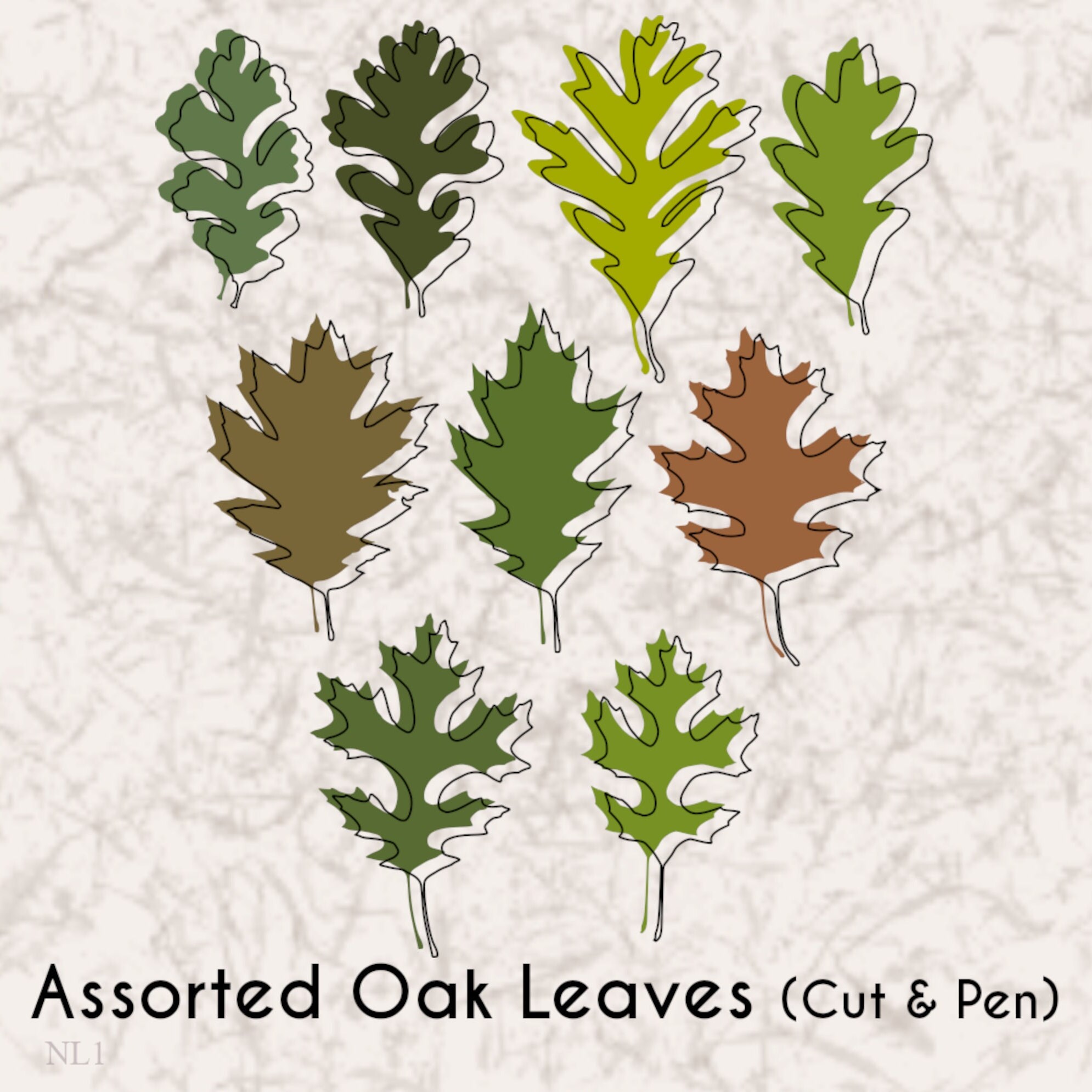 Oak Leaves SVG Bundle, PNG, DXF, Fall Leaf Png, Northern Red Oak, Pin Oak, Valley Oak, White Oak ...