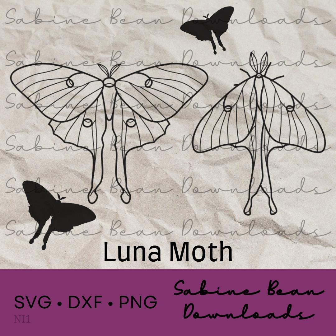 Luna Moth SVG Bundle | Detailed PNG, DXF, Insect Svg Bug Download - Etsy