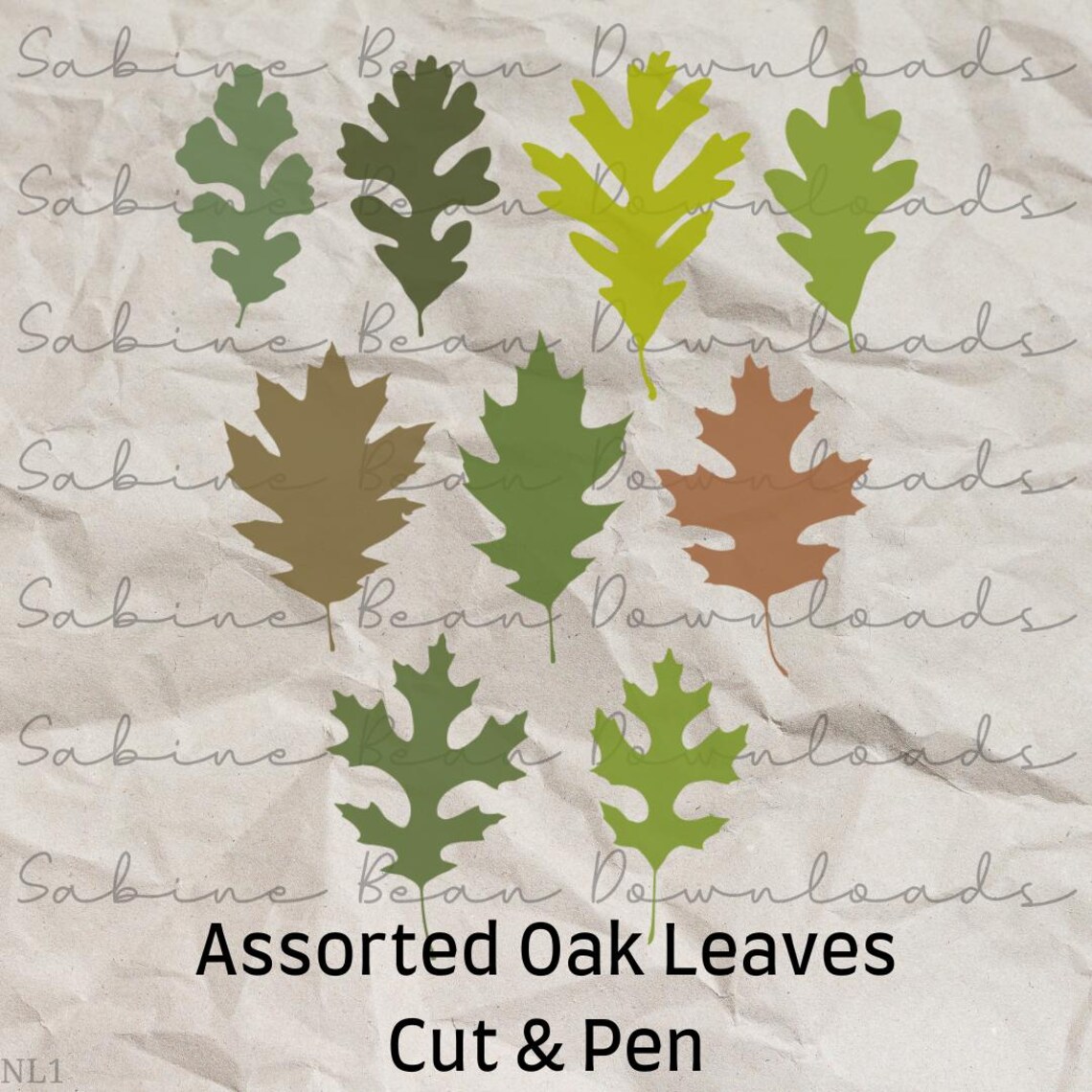 Oak Leaves SVG Bundle, PNG, DXF, Fall Leaf Png, Northern Red Oak, Pin ...