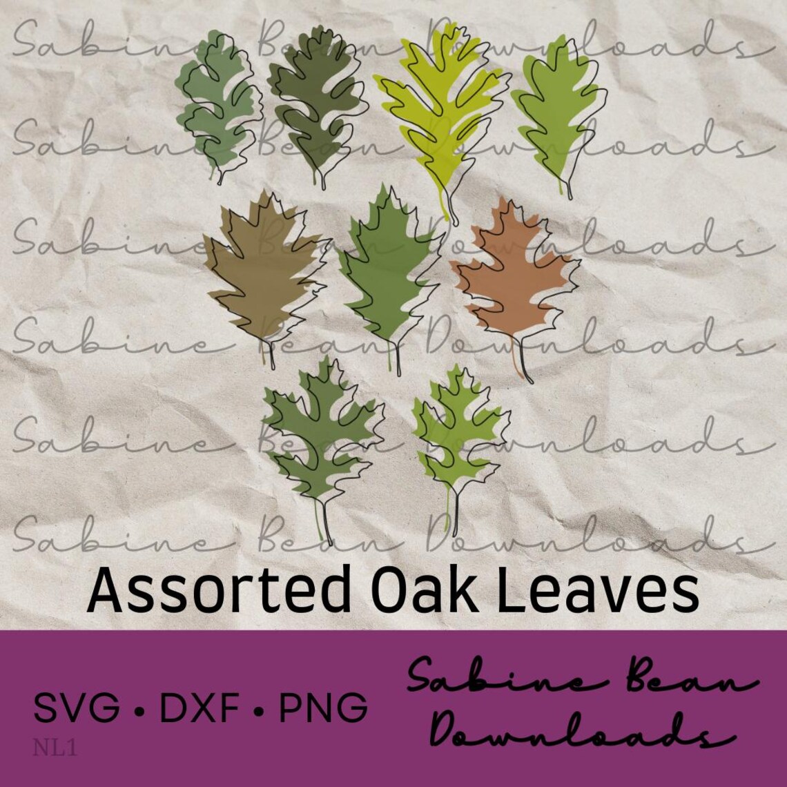 Oak Leaves SVG Bundle, PNG, DXF, Fall Leaf Png, Northern Red Oak, Pin ...