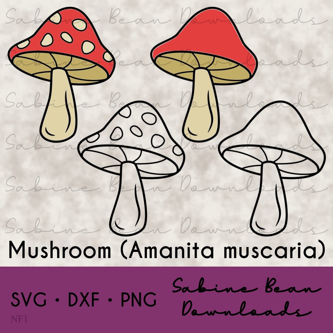 Paquete SVG de setas, PNG, DXF, Otoño png, Amanita muscaria - Etsy México