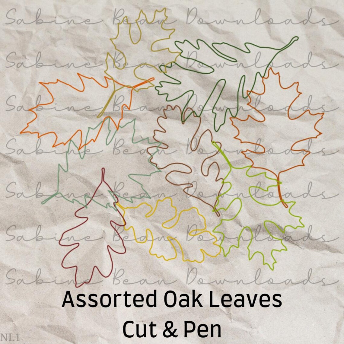 Oak Leaves SVG Bundle, PNG, DXF, Fall Leaf Png, Northern Red Oak, Pin ...