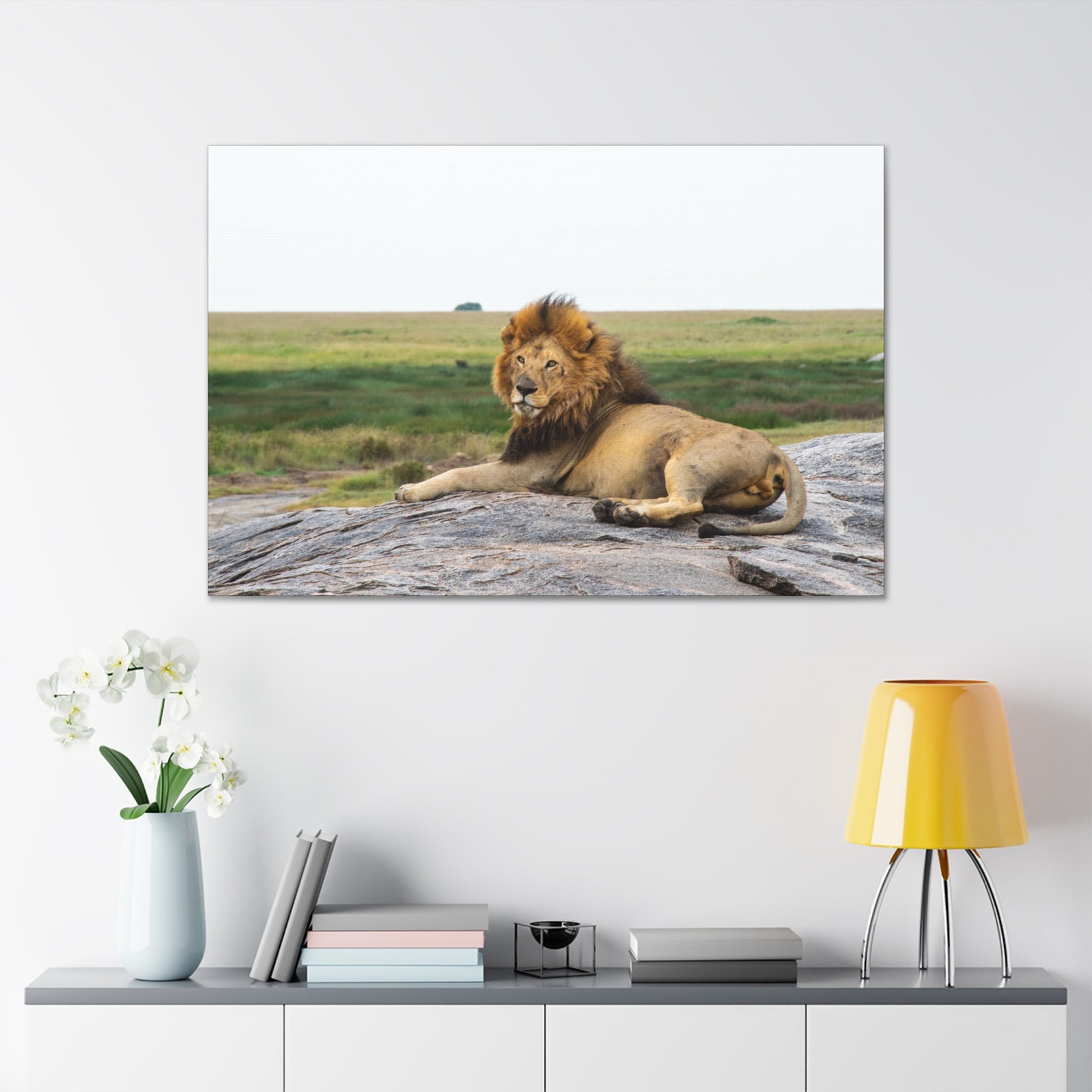 Stretched and Wrapped Canvas, With Huge Male Lion - Etsy