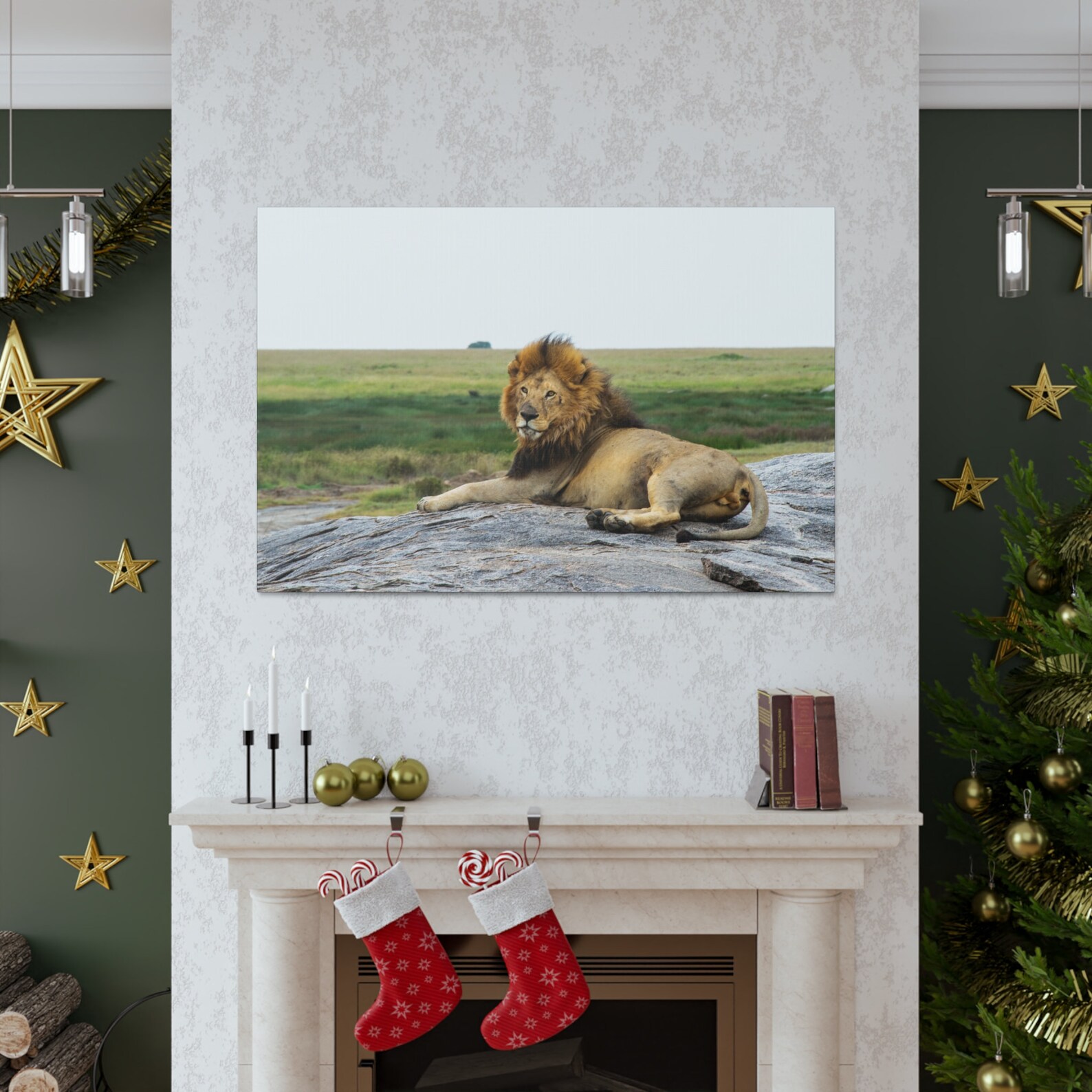 Stretched and Wrapped Canvas, With Huge Male Lion - Etsy