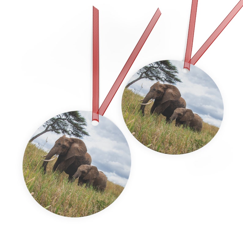 Metal Ornaments, Elephant Photo Ornament, Safari Photo, African Photo ...