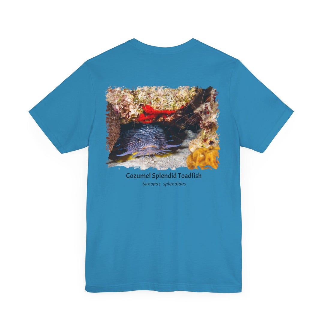 Unisex Jersey Short Sleeve T-shirt With Cozumel Splendid Toadfish and Custom Dive Flag, "i'd ...
