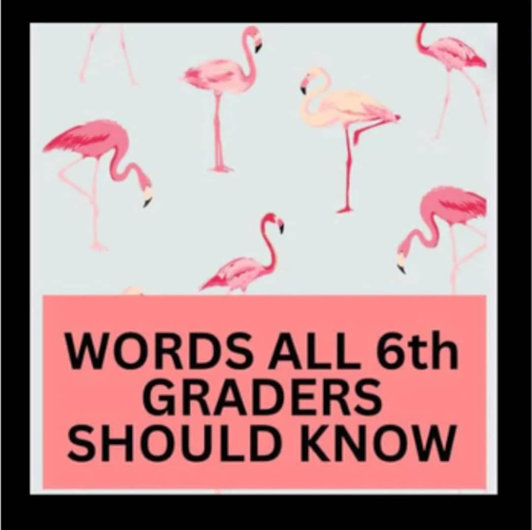Words All 6th Graders Should Know Digital Lesson Powerpoint Vocabulary ...