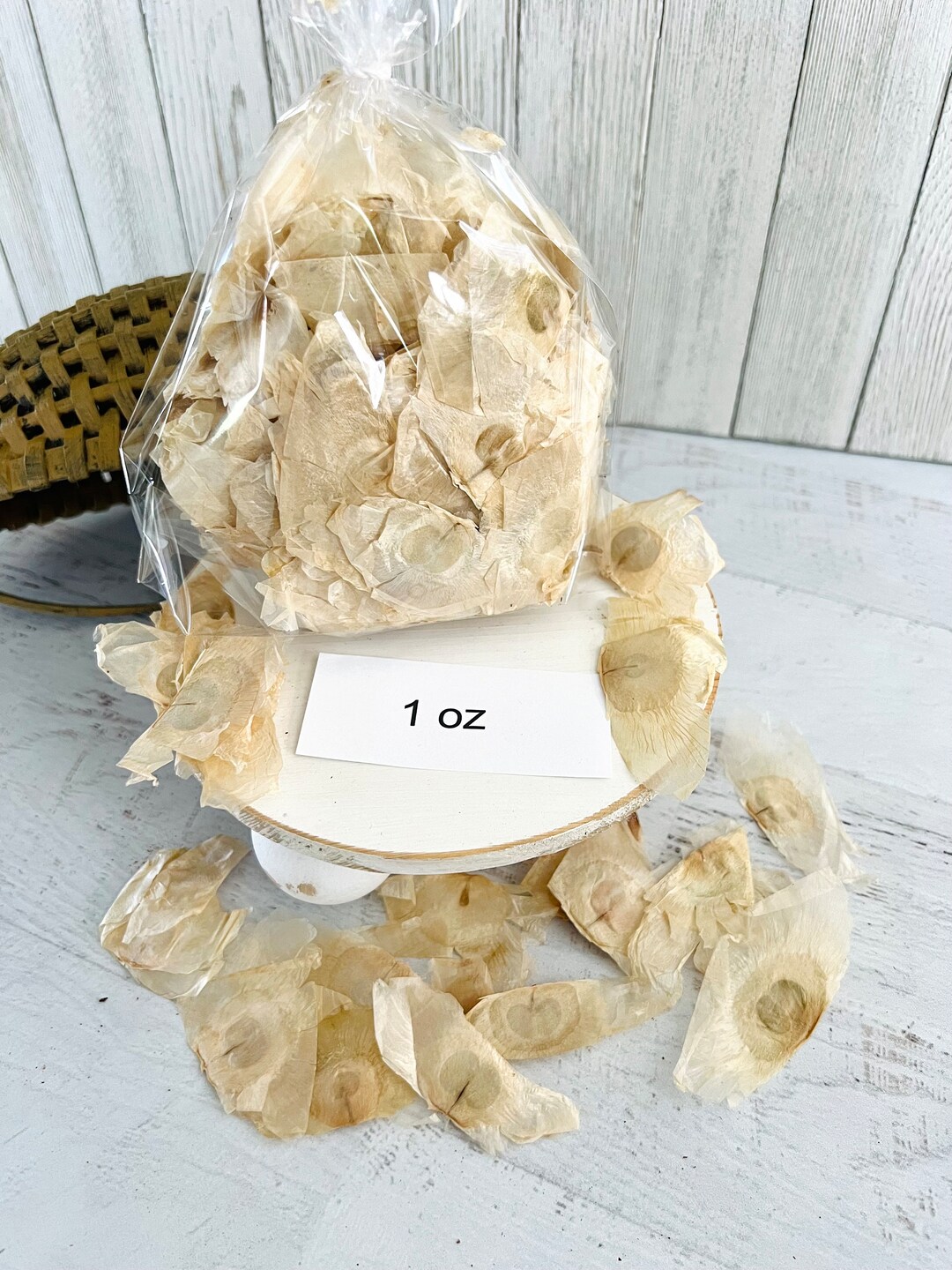 BLEACHED Angel Wings Bowl Filler Dried Botanical Dough Bowl Filler ...