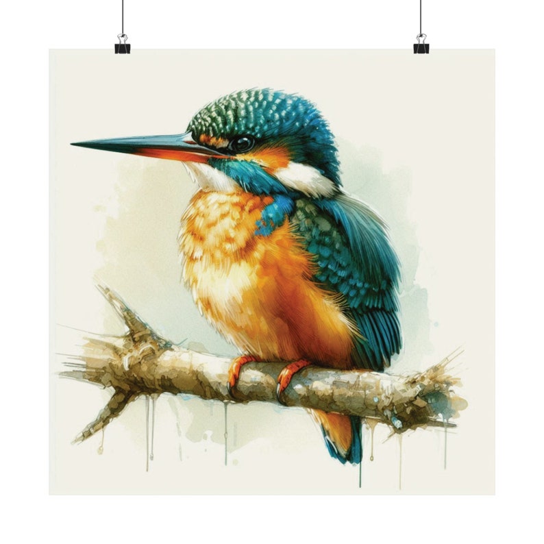 Kingfisher Bird Watercolor Poster, Birdwatchers Gift, Birder Gift ...