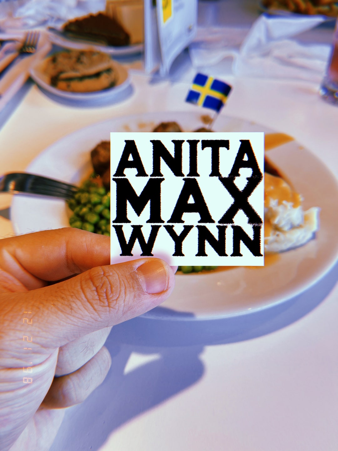 Anita Max Wynn Sticker: Kawaii Kpop Meme Parody, Waterproof Laminated ...