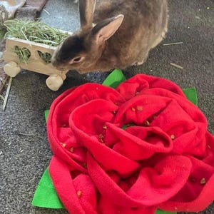 Wooden Hay Bus Bunny Hay Feeder / Push Toy for Rabbits and Small Pets ...