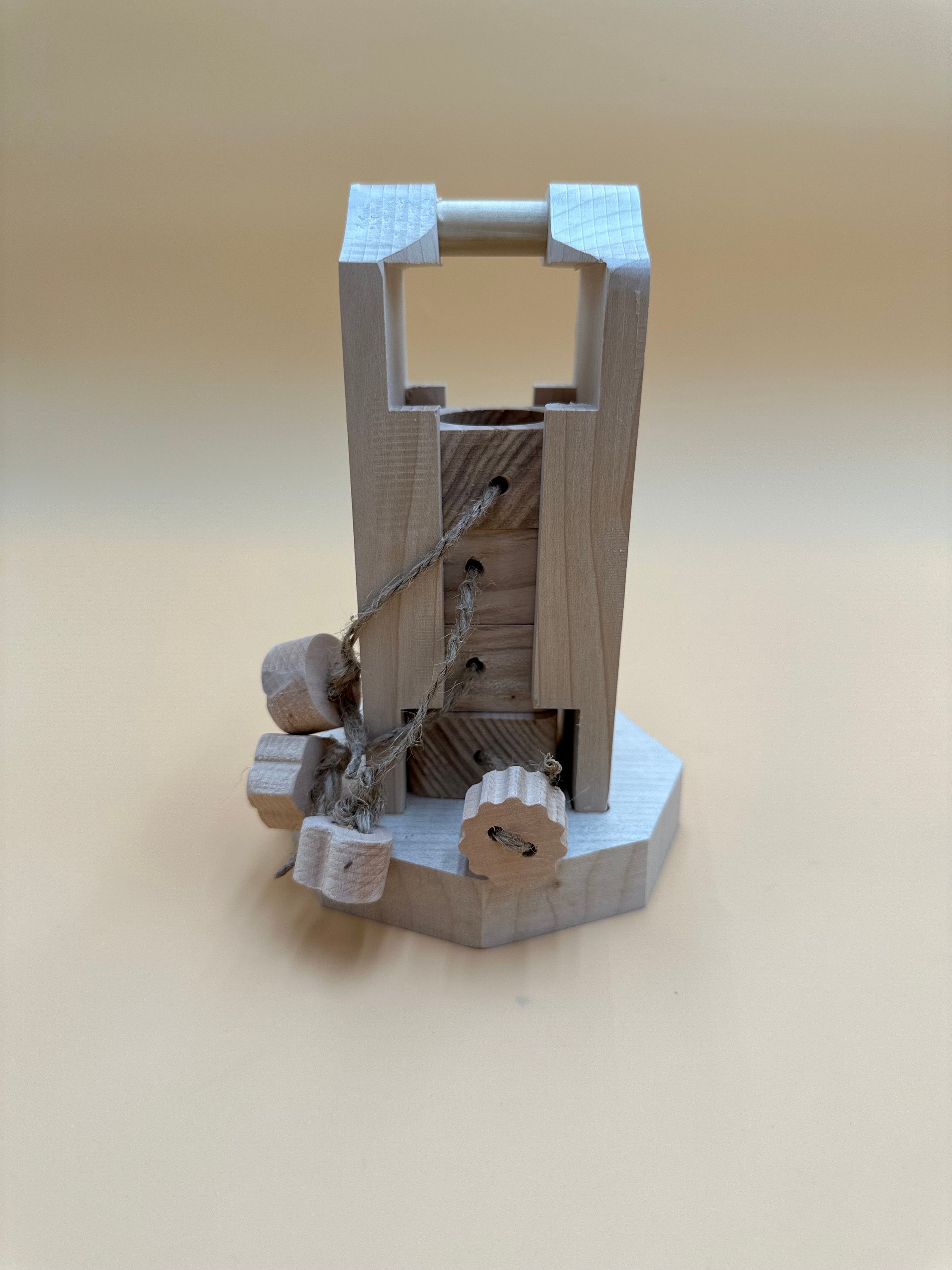 Bunny Logic Toy, Treat Hider for Rabbits, Bunny Lover Gift, Toy for ...