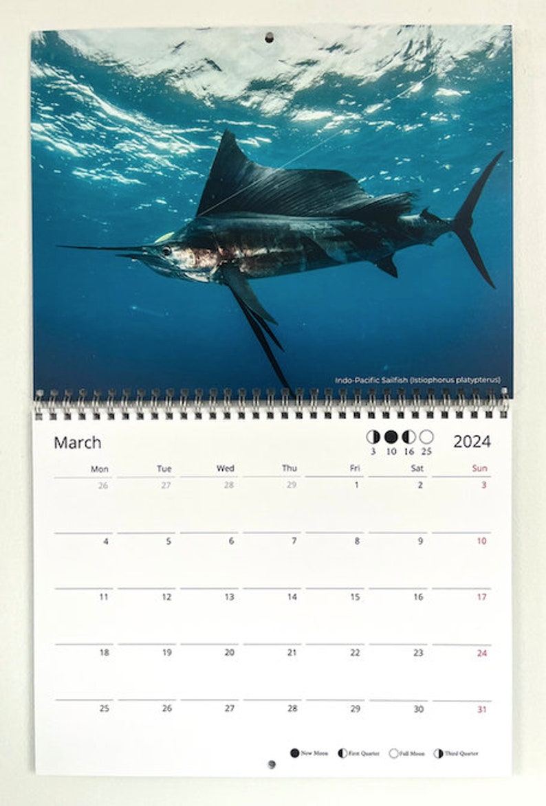 2024 Fish Species Calendar With Moon Phases wall Calendar US & Canada ...