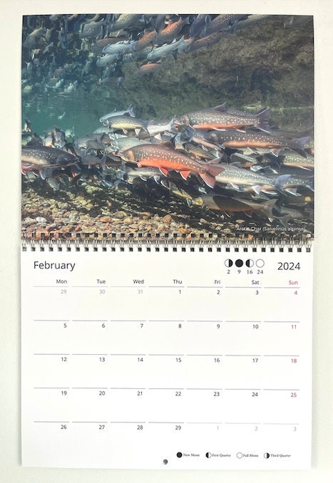 2024 Fish Species Calendar With Moon Phases wall Calendar US & Canada ...