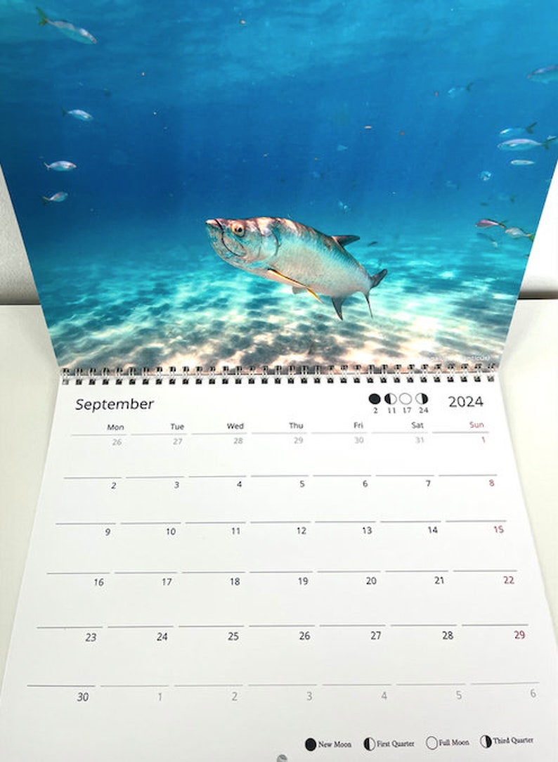 2024 Fish Species Calendar With Moon Phases wall Calendar US & Canada ...