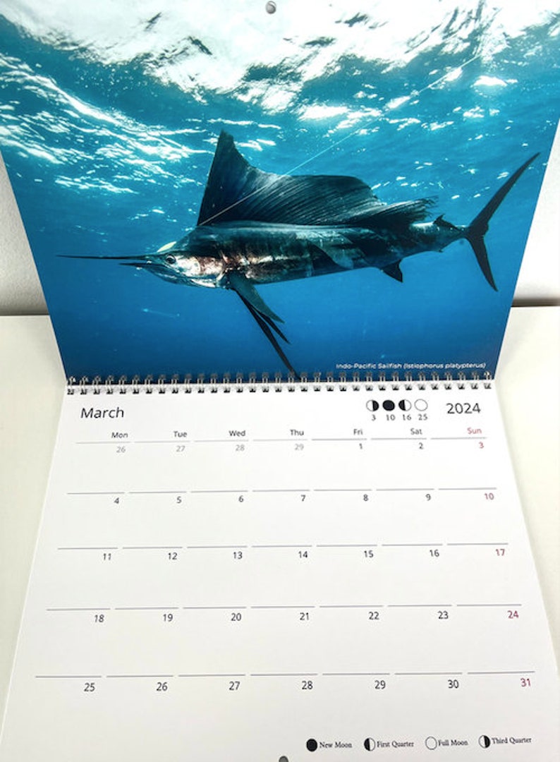 2024 Fish Species Calendar With Moon Phases wall Calendar US & Canada ...