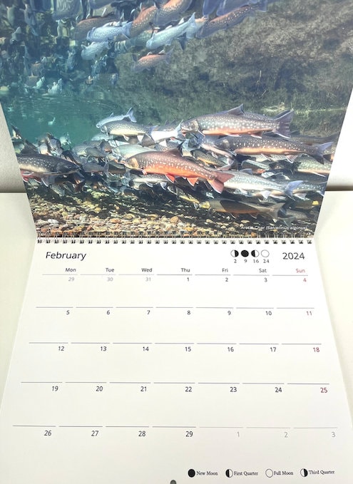 2024 Fish Species Calendar With Moon Phases wall Calendar US & Canada ...