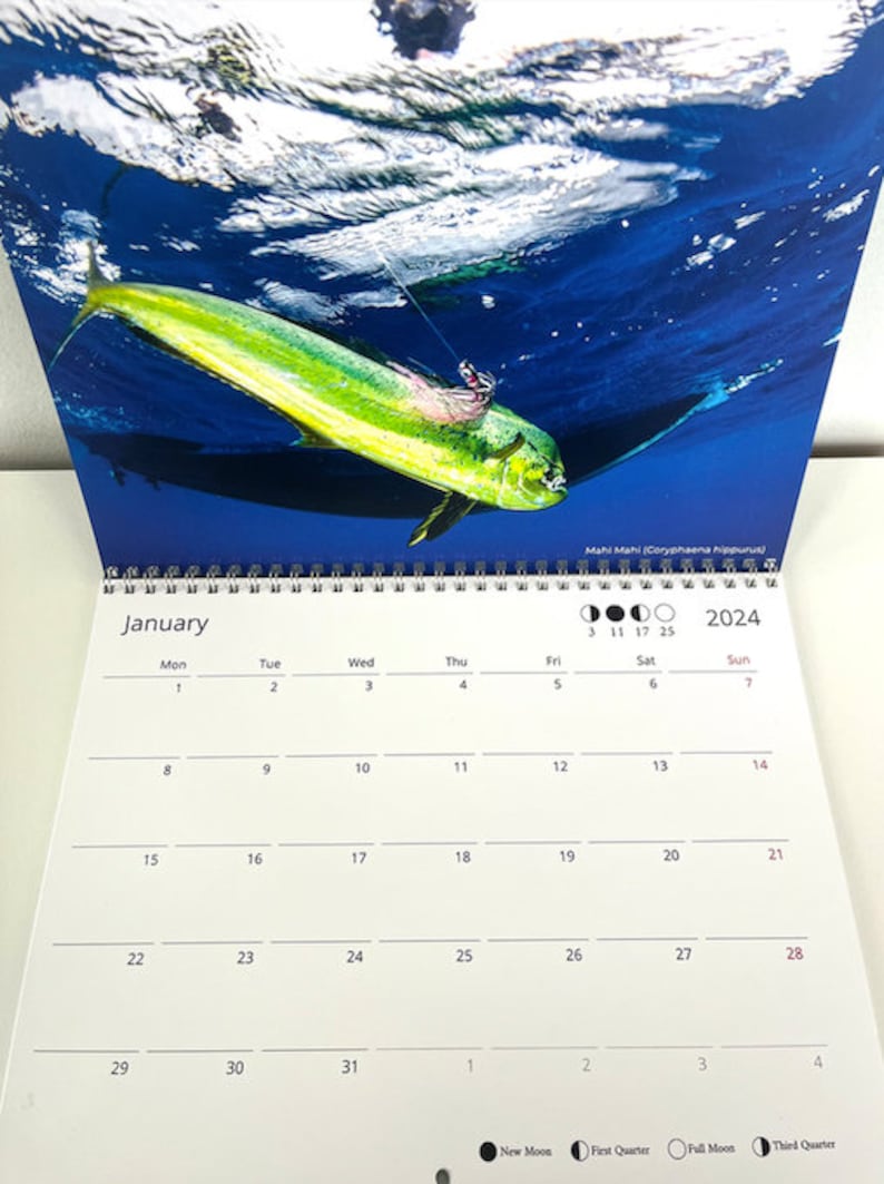 2024 Fish Species Calendar With Moon Phases wall Calendar US & Canada ...