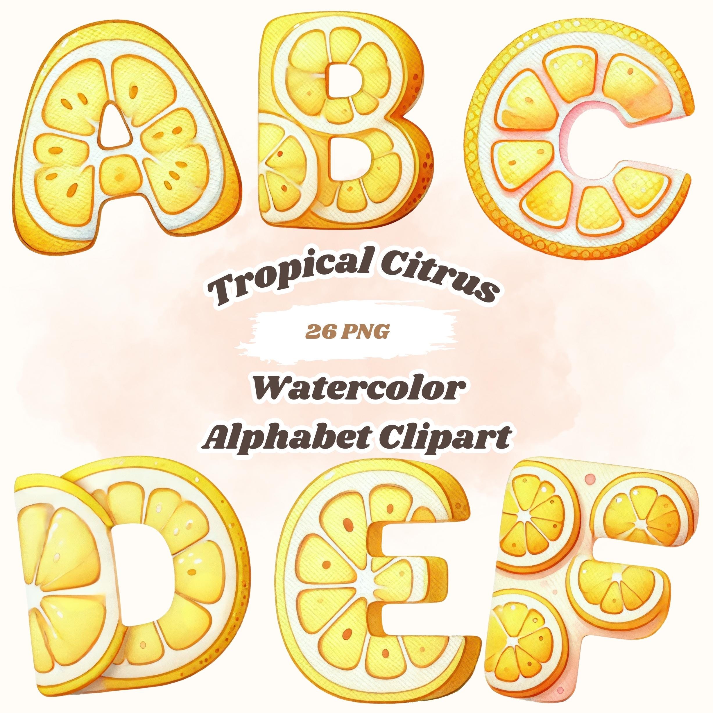 Watercolor Tropical Citrus Alphabet Clipart Fresh Summer Fruit Themed ...