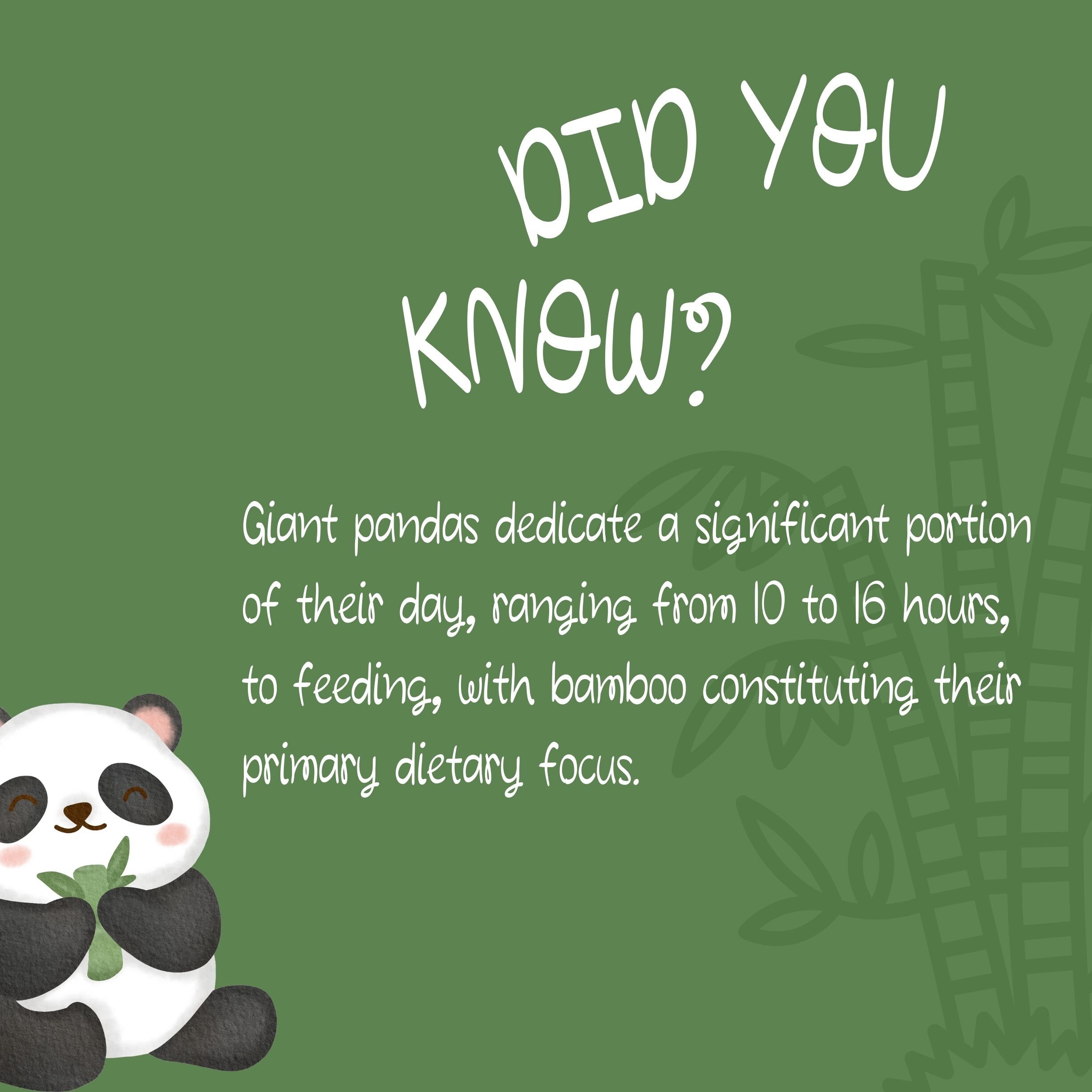 Simple Handwritten Note Taking Digital Planner Font - Etsy