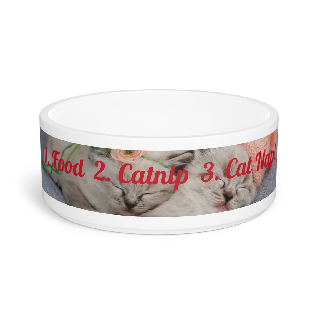 1. Food 2. Catnip 3. Cat Nap Cat Bowl Pet Bowl W/ Pic of 2 Sleeping ...