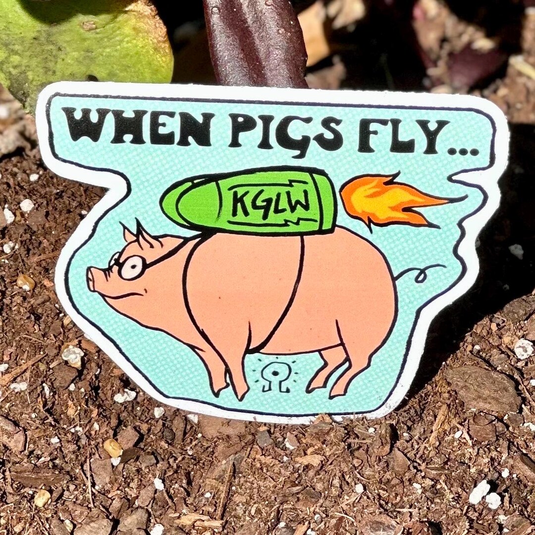 When Pigs Fly Sticker - King Gizzard and the Lizard Wizard Sticker - Etsy