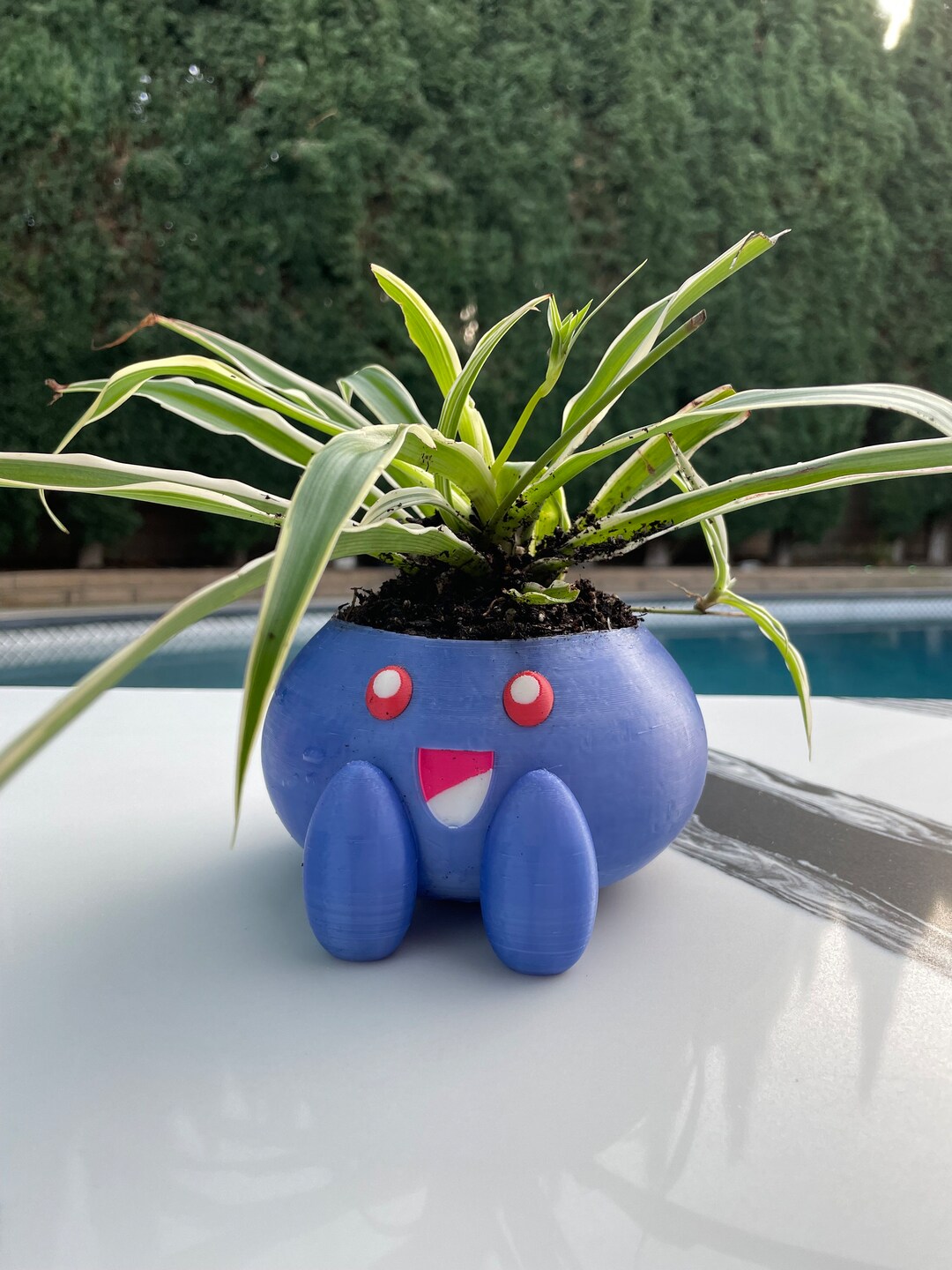 Oddish Pokémon Planter - Adorable Home for Your Plants! (PLANT SOLD ...