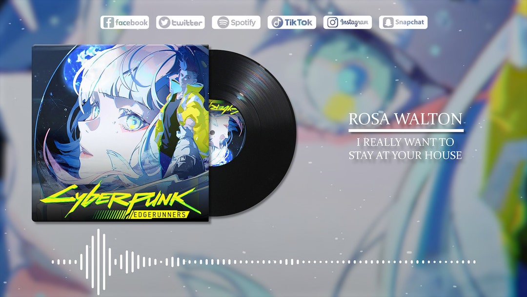 Custom Music Video Visualizer vinyl Record Style - Etsy