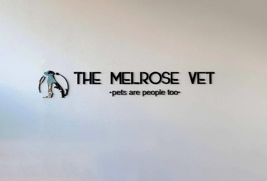 Laser Cut Veterinary Sign for Office Wall, Veterinarian Doctor 3D ...