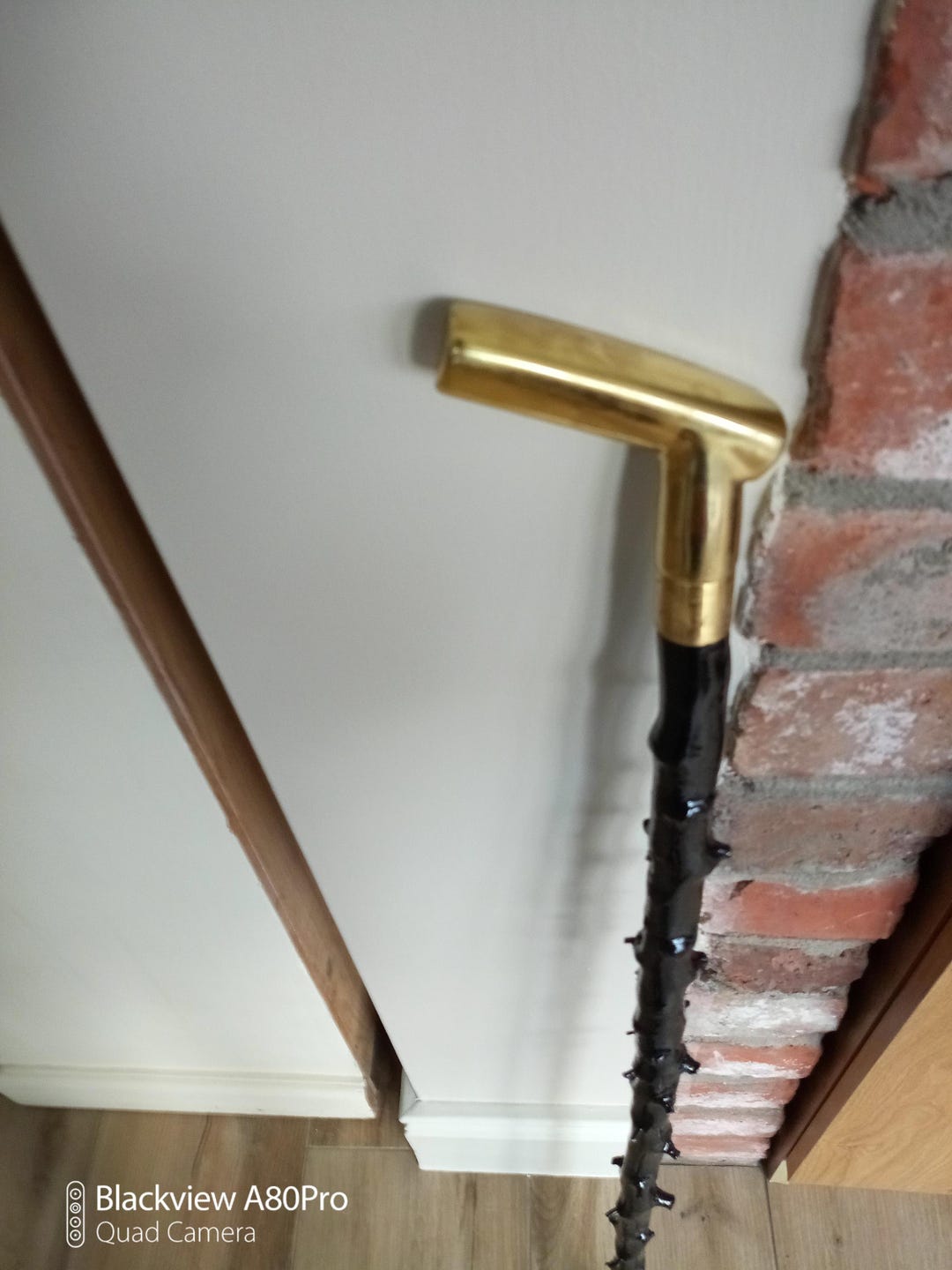 Irish Blackthorn Walking Stick With Brass Style Handle & Thorns- Lovely ...