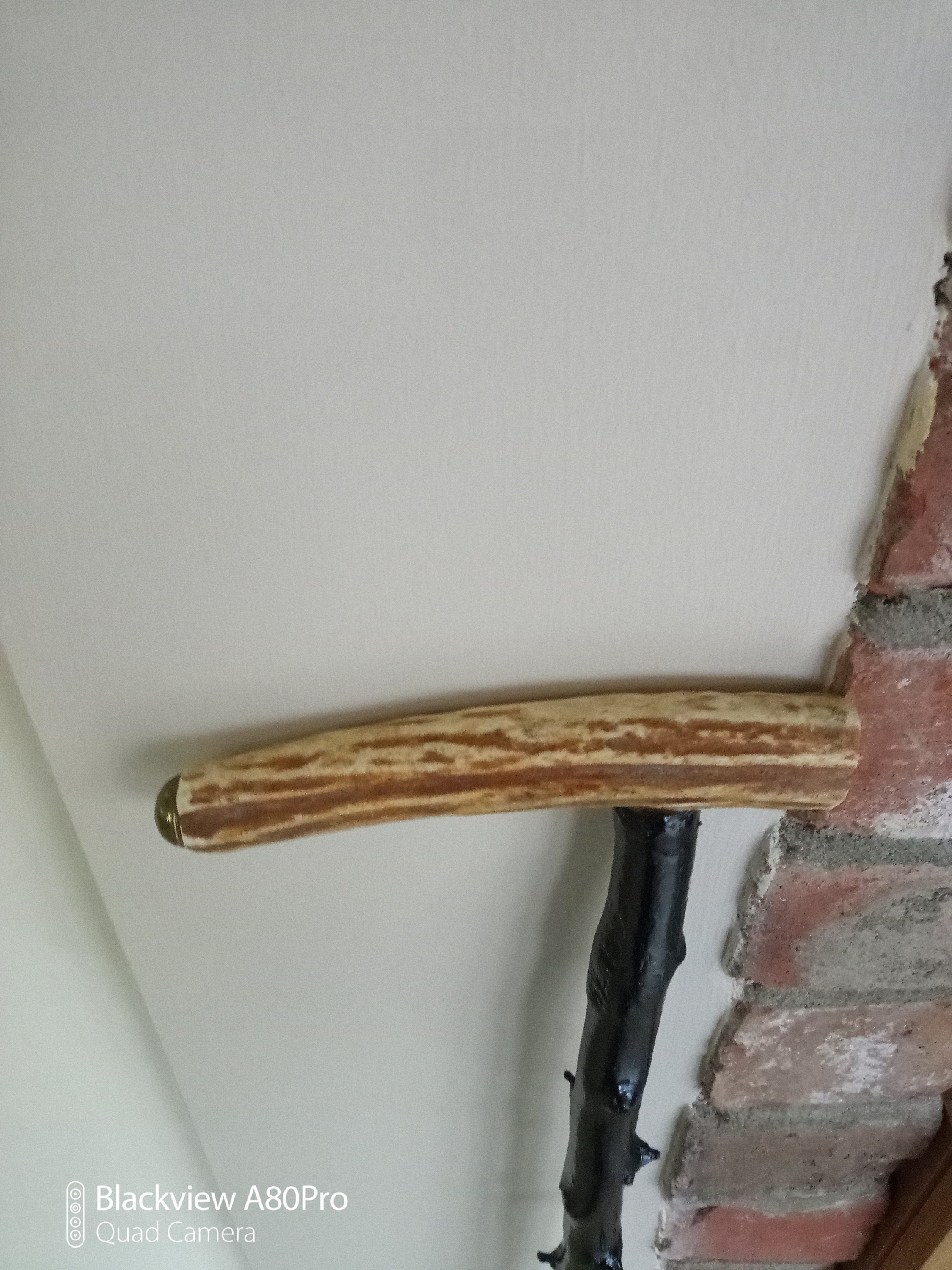 Irish Blackthorn Walking Stick - Etsy