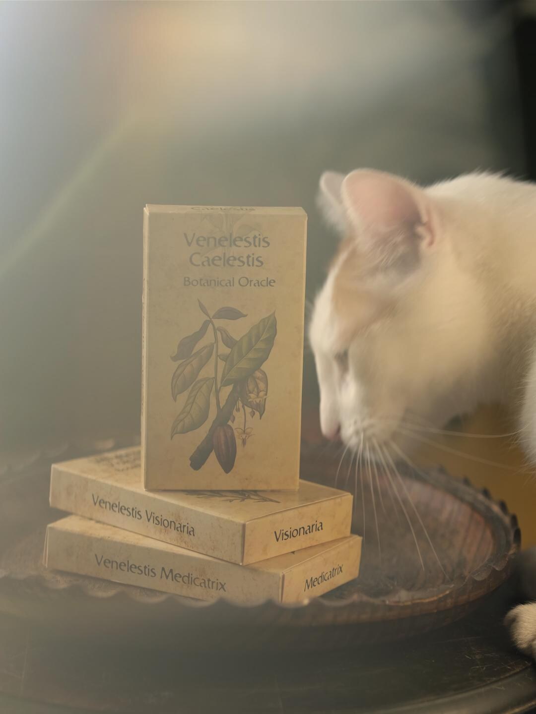 Venelestis Caelestis Oracle Deck • Botanical & Natural Oracle, Personal ...