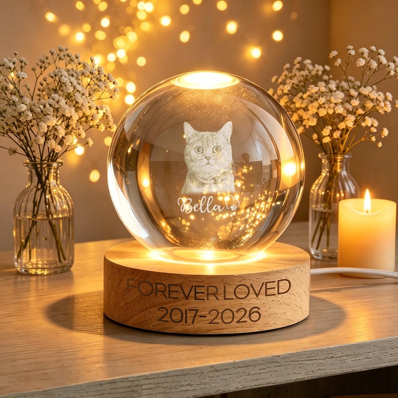 Custom Pet Memorial Night Light,personalized Pet Portrait Crystal Ball ...